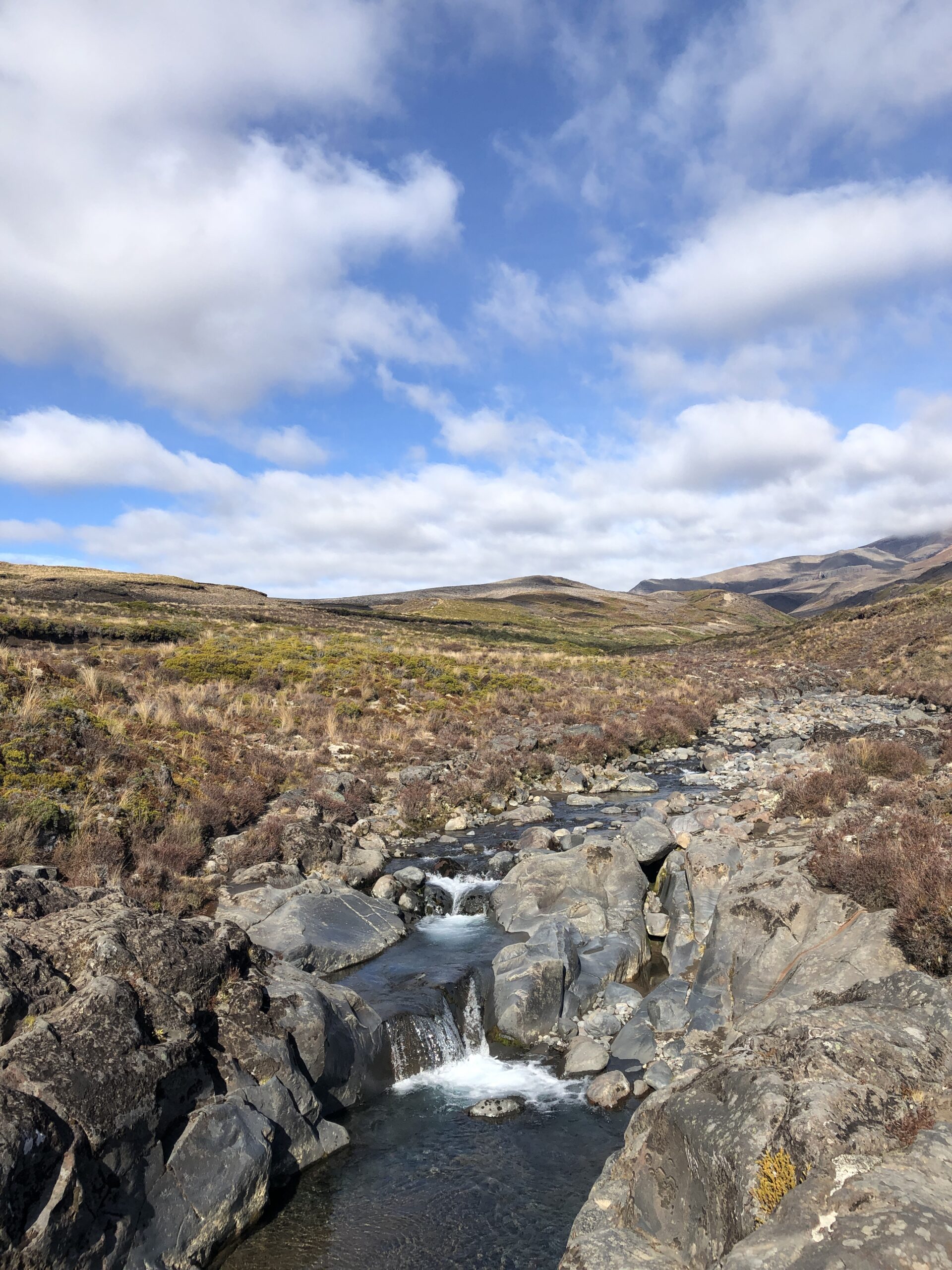 What you need to know before going up the Sky Waka